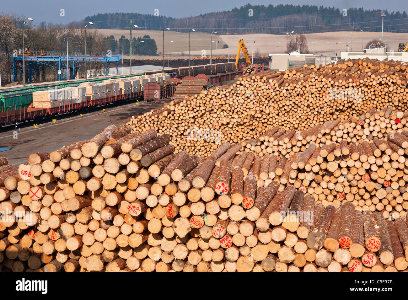 A view of huge stacks of logs piled high at a lumber factory Stock ...