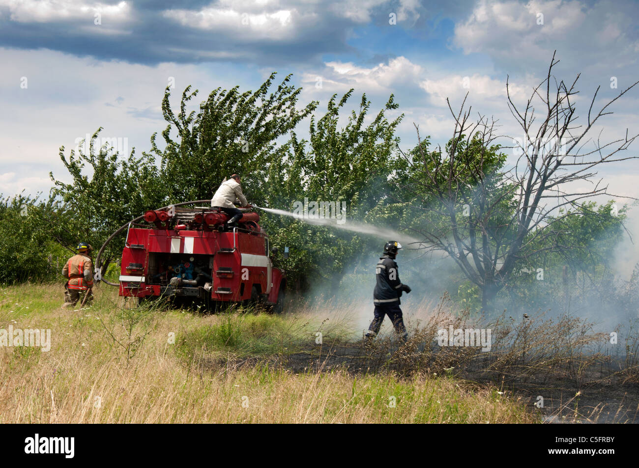 Firefighters extinguish a fire. Trees and grass Stock Photo - Alamy