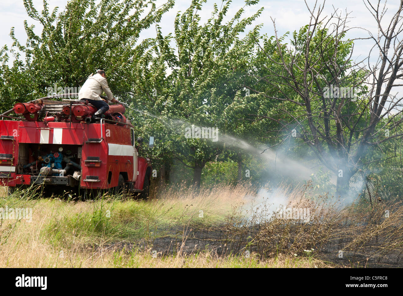 Firefighters extinguish a fire. Trees and grass Stock Photo - Alamy