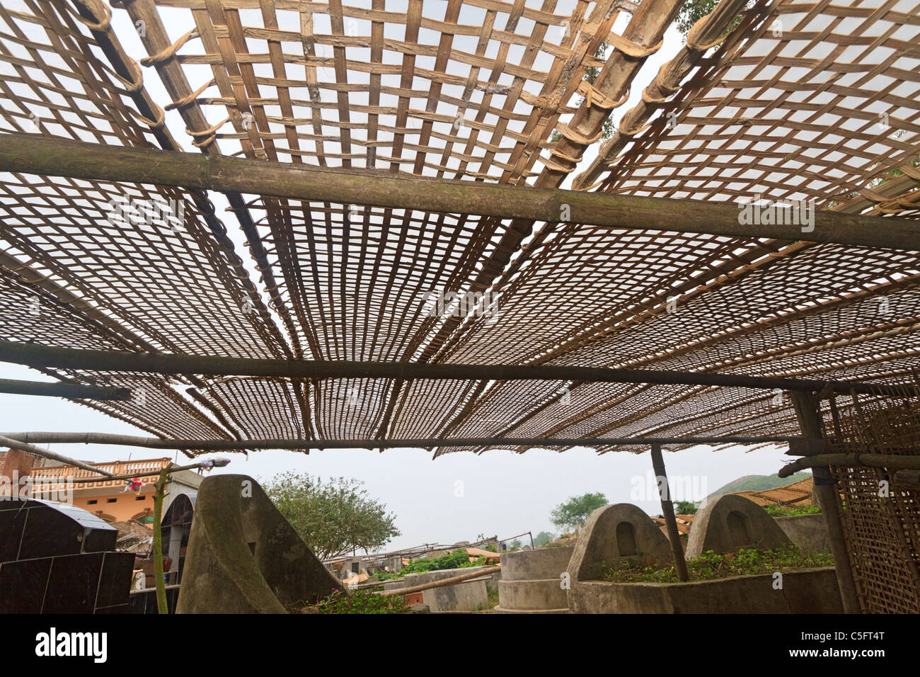 Rice paper (used in cooking) dries on bamboo racks in a cemetery in Tho ...