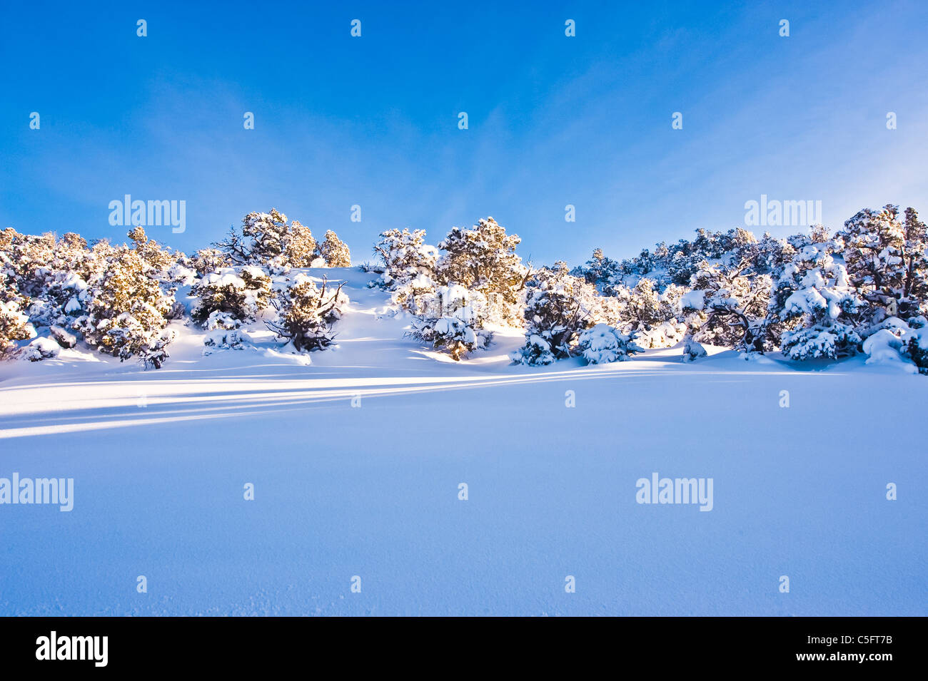 Snow comes to the Navajo National Monument and makes a peaceful setting ...