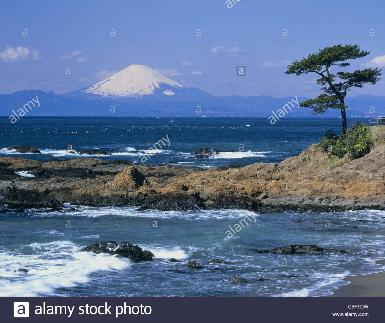 More Than Murals: The Artist Keeping Japan's Bathhouse Art Alive : r/japan