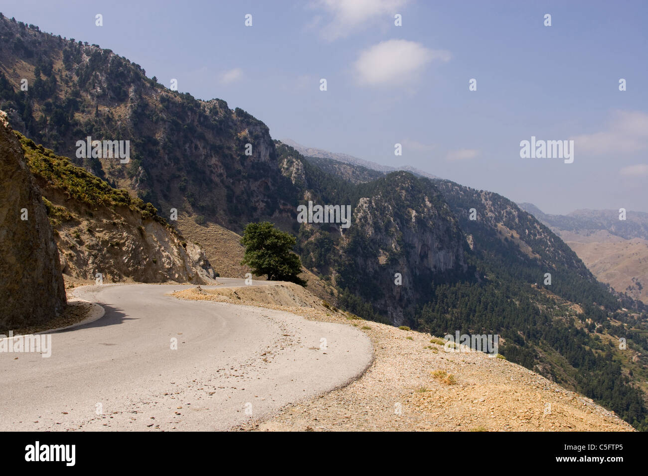 Dangerous snakes of greece hi-res stock photography and images - Alamy