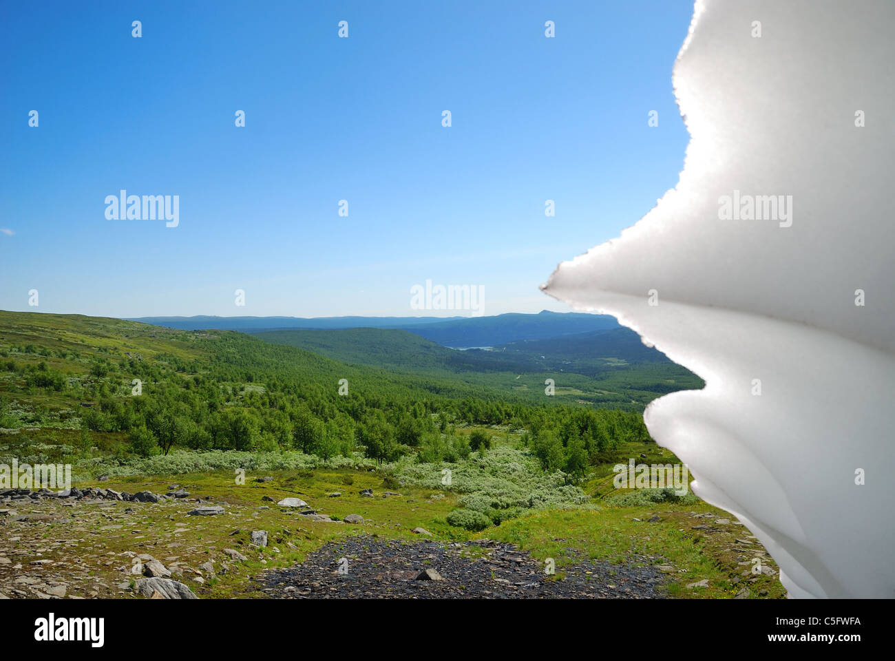 Summer snowfield hi-res stock photography and images - Alamy