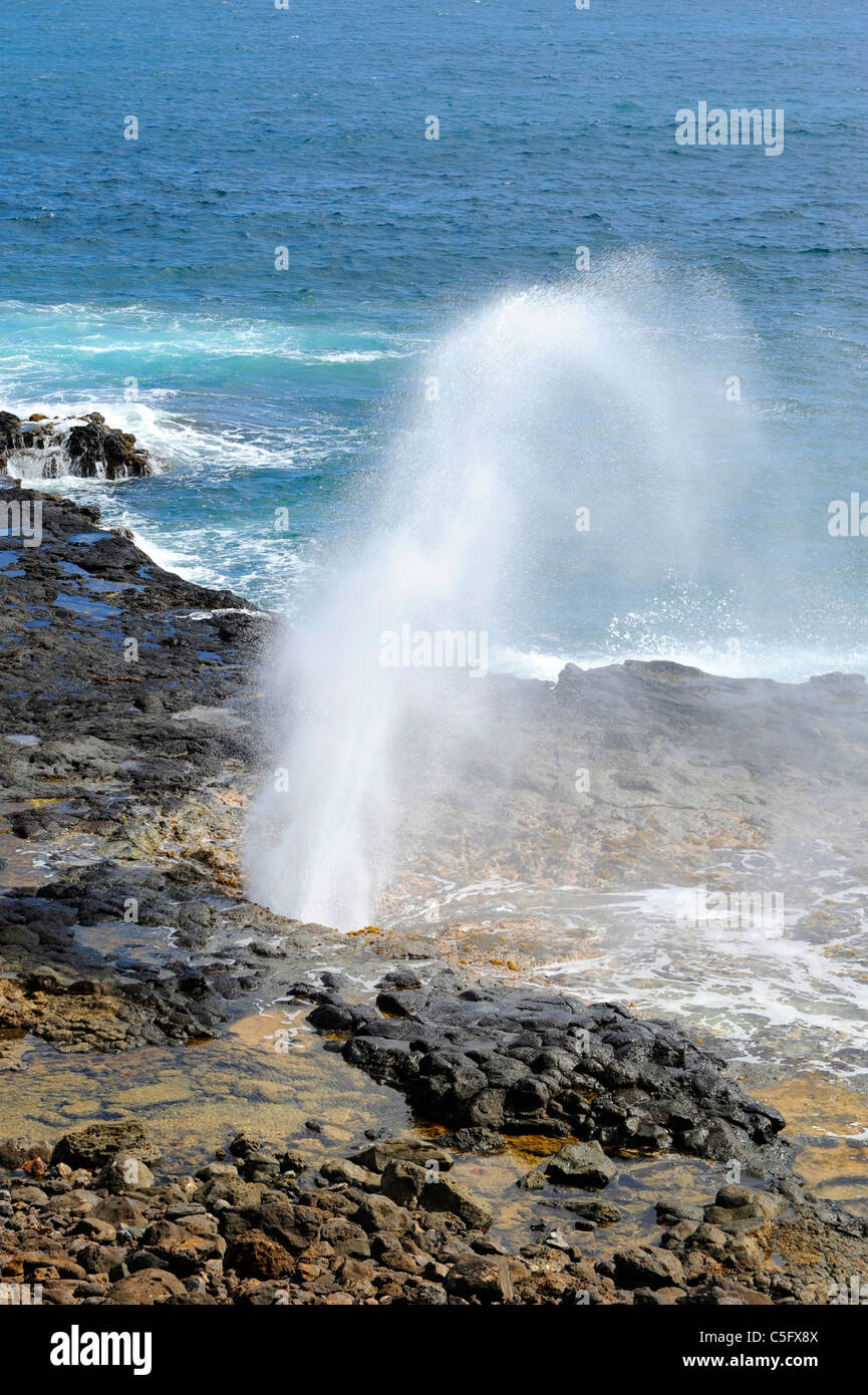Spouting Horn Popui Kauai Hawaii Lava Shoreline Pacific Ocean Stock ...
