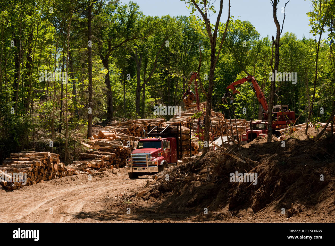 Logging industry canada logs hi-res stock photography and images - Alamy