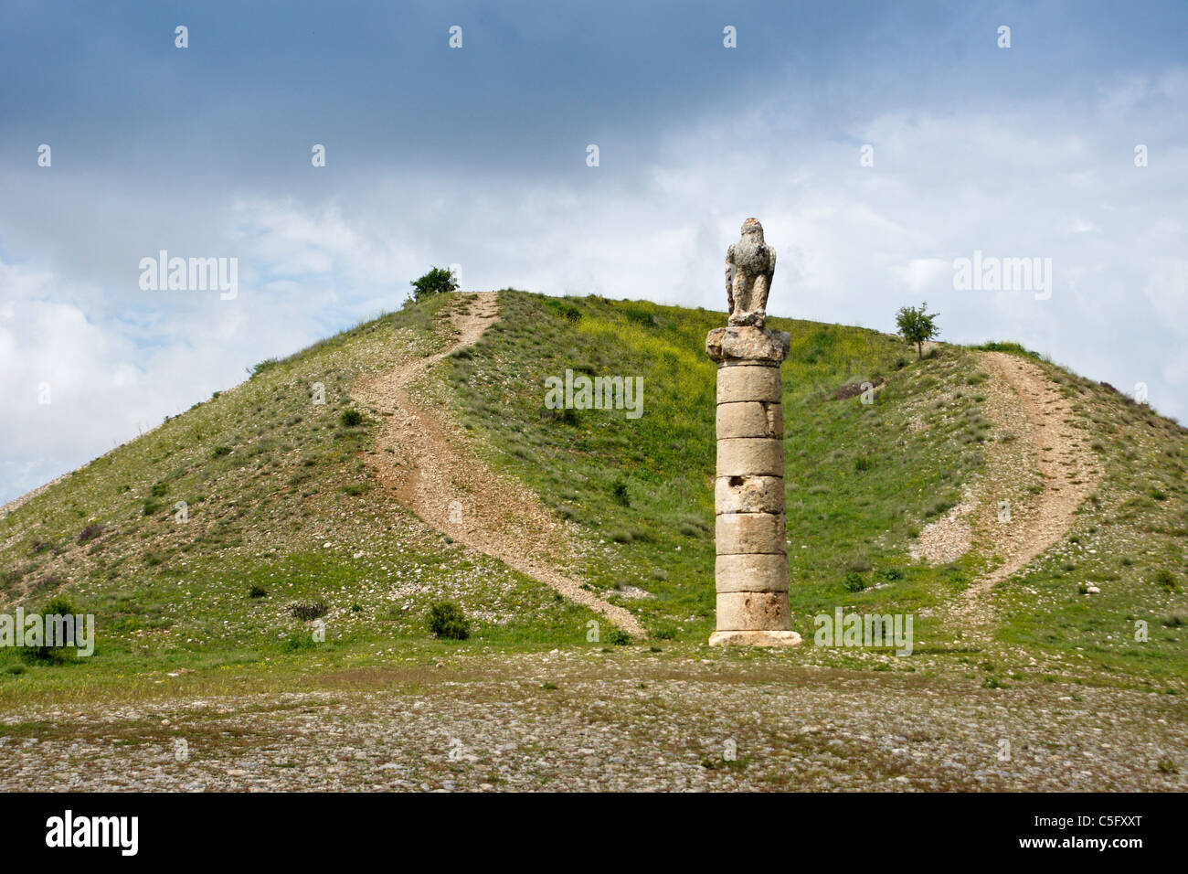 Blackbird on column at Karakus Tumulus, Mt. Nemrut, Eastern Anatolia ...