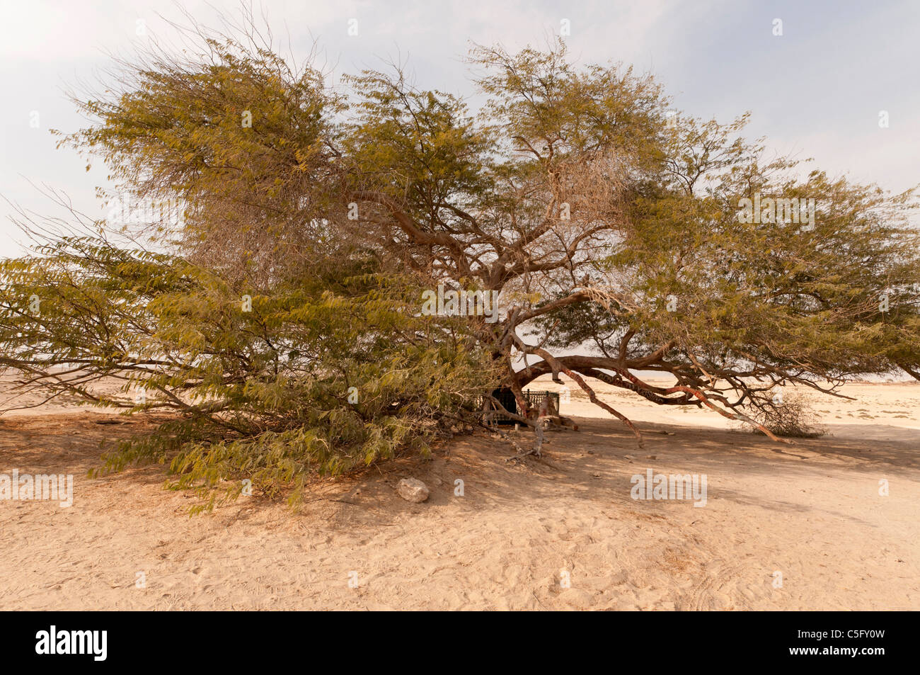 Bahrain desert hi-res stock photography and images - Alamy