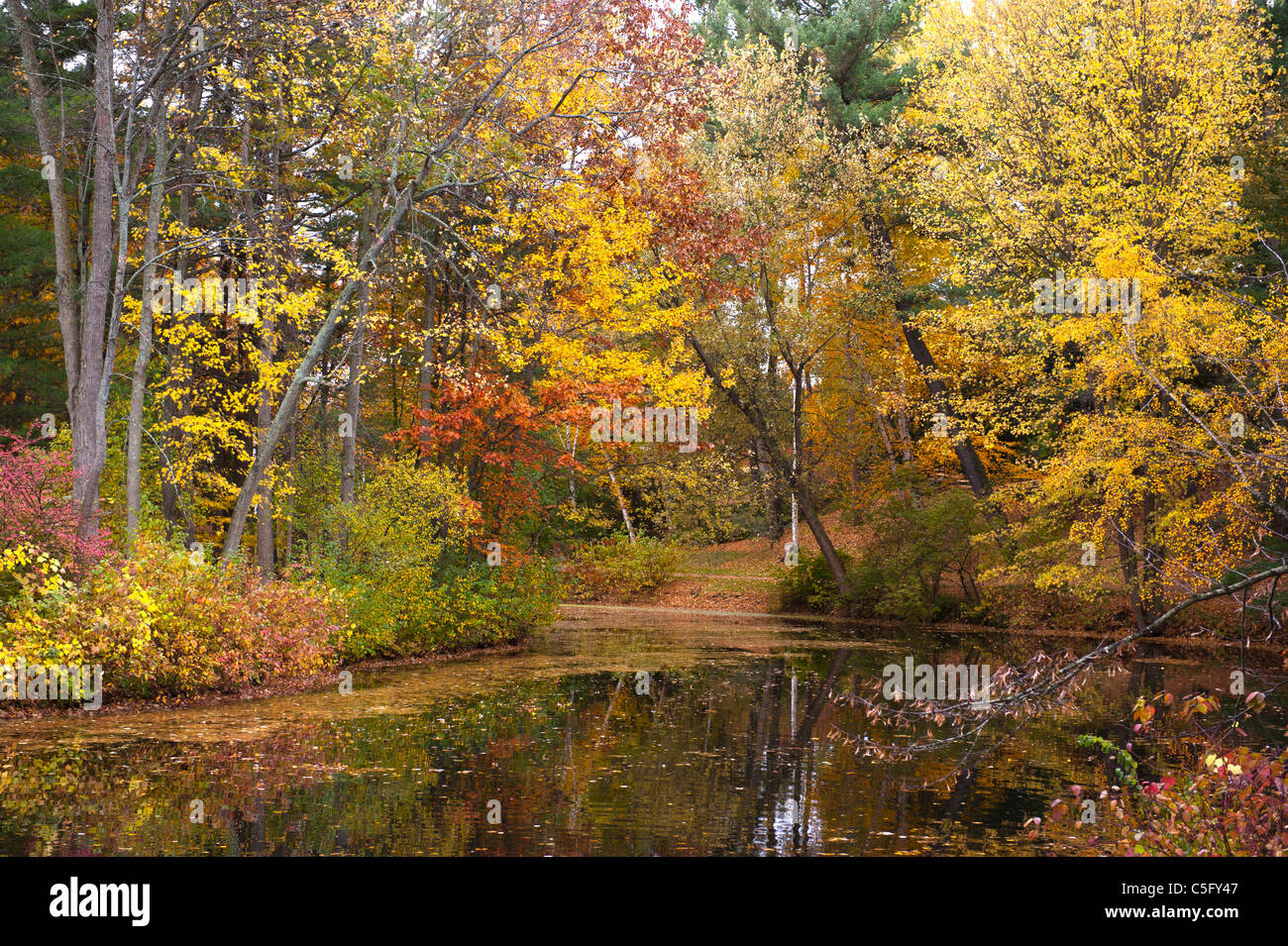 Dow Gardens Midland Michigan popular tourist attraction Stock Photo - Alamy