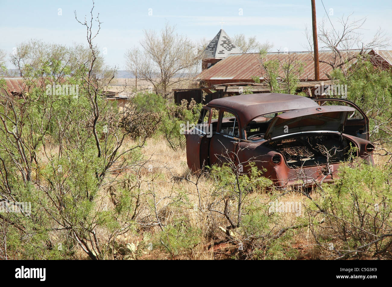 An old car sits alone in a field of honey locust trees in Cuervo New ...