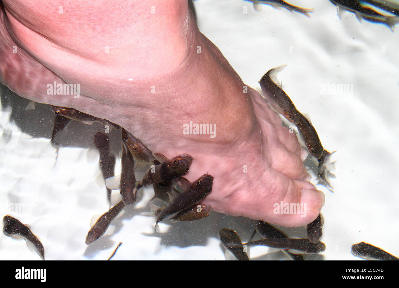 Fish feeding on dead skin in foot spar Stock Photo - Alamy