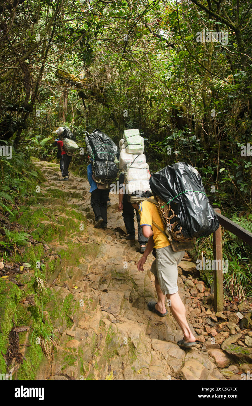 porters trekking into the jungle in Mount Kinabalu National Park in ...