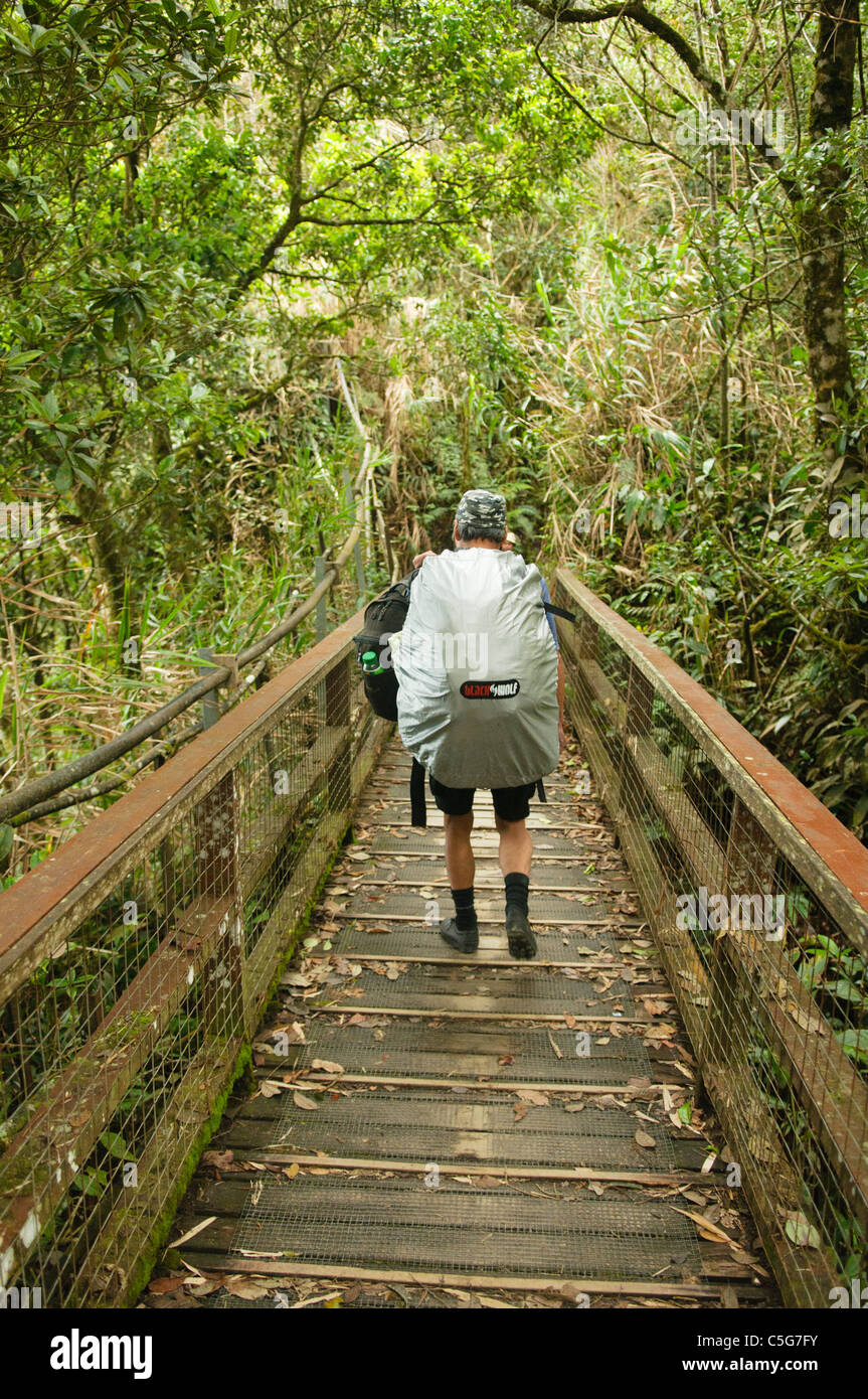 Trekking in kinabalu national park hi-res stock photography and images ...