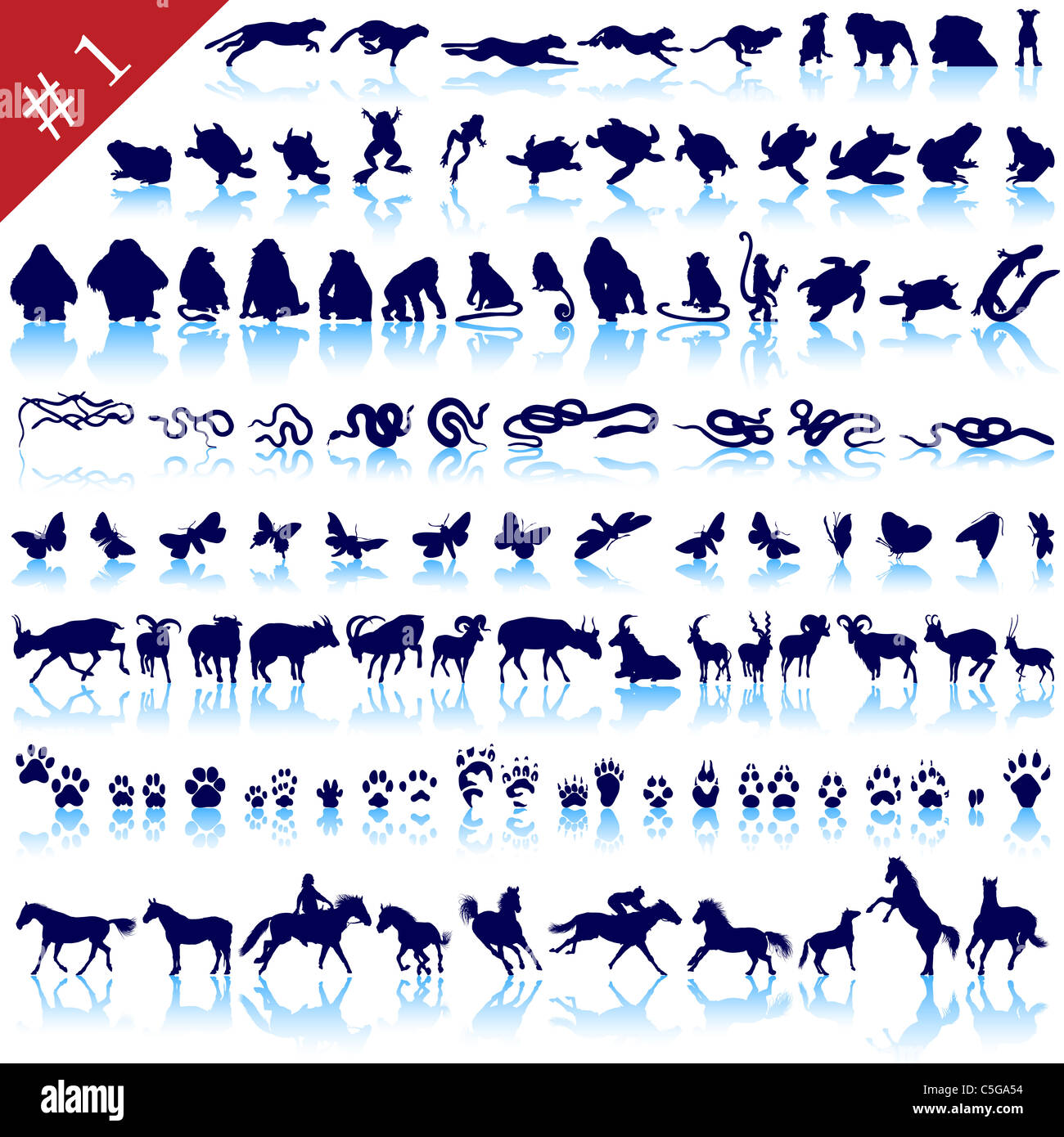 Set of different animals, birds, insects and fishes vector silhouettes ...