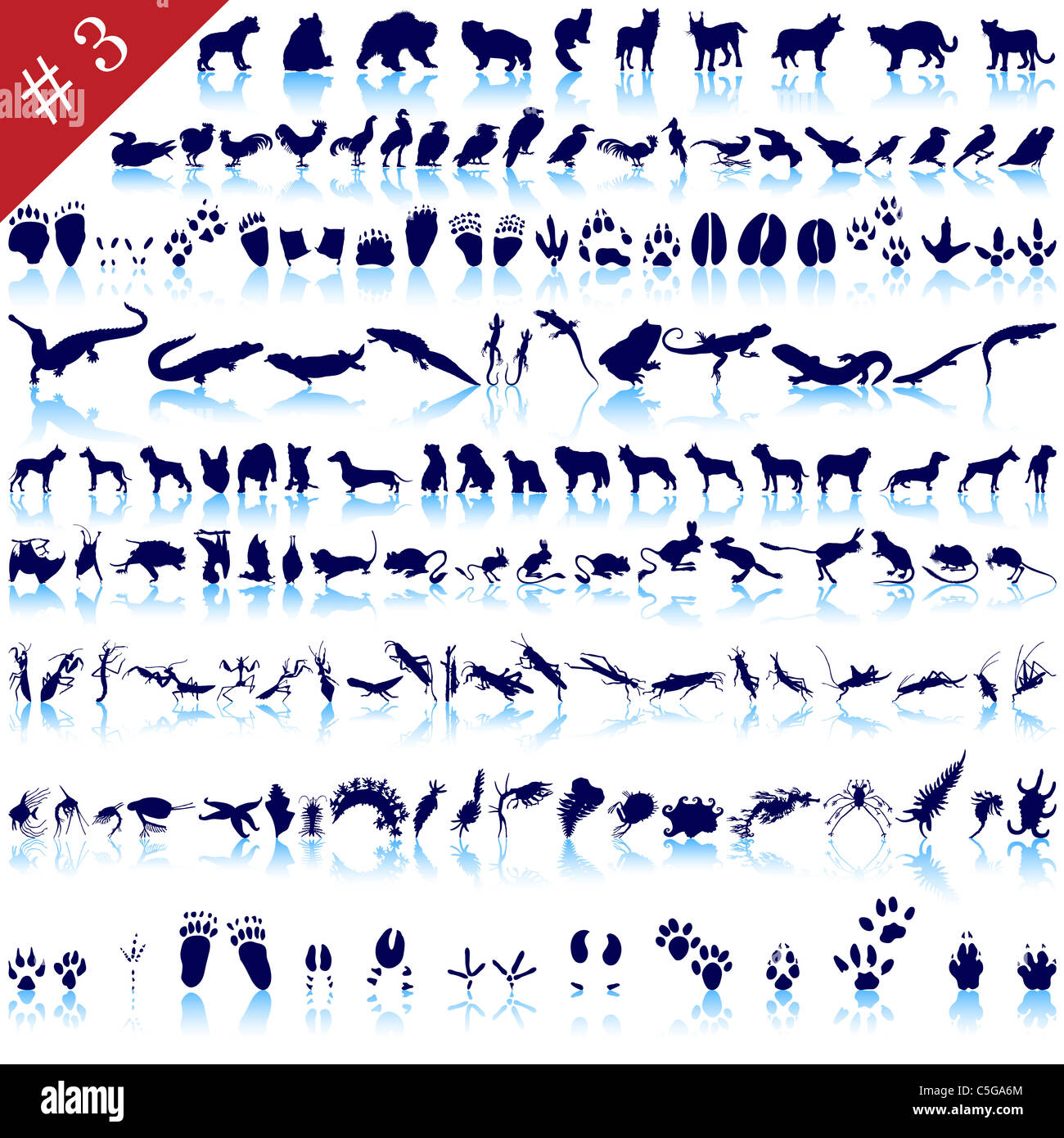 Set of different animals, birds, insects and fishes vector silhouettes ...