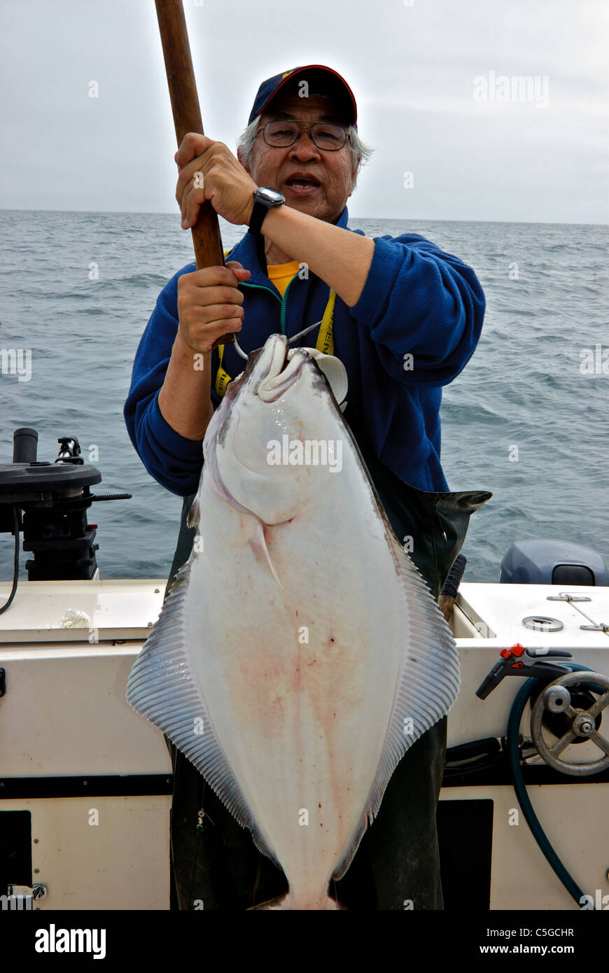 Asian pacific fish hi-res stock photography and images - Alamy