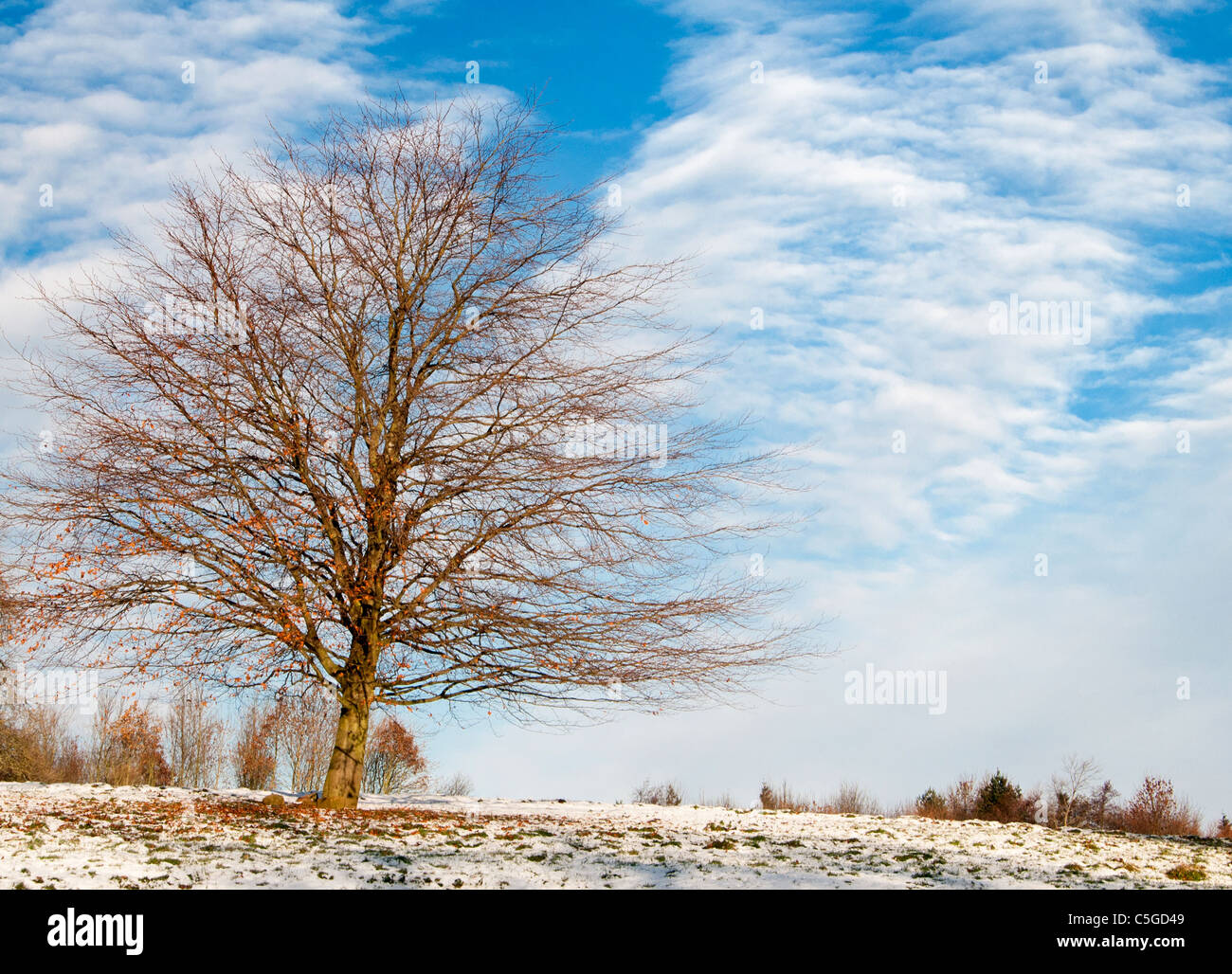 Winter, Yorkshire, UK Stock Photo - Alamy