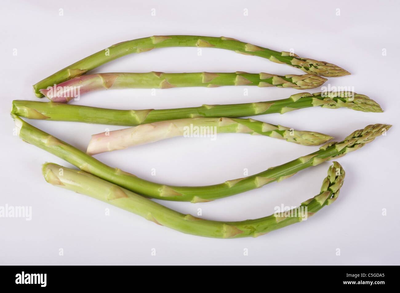 Home grown freshly picked organic asparagus Stock Photo - Alamy