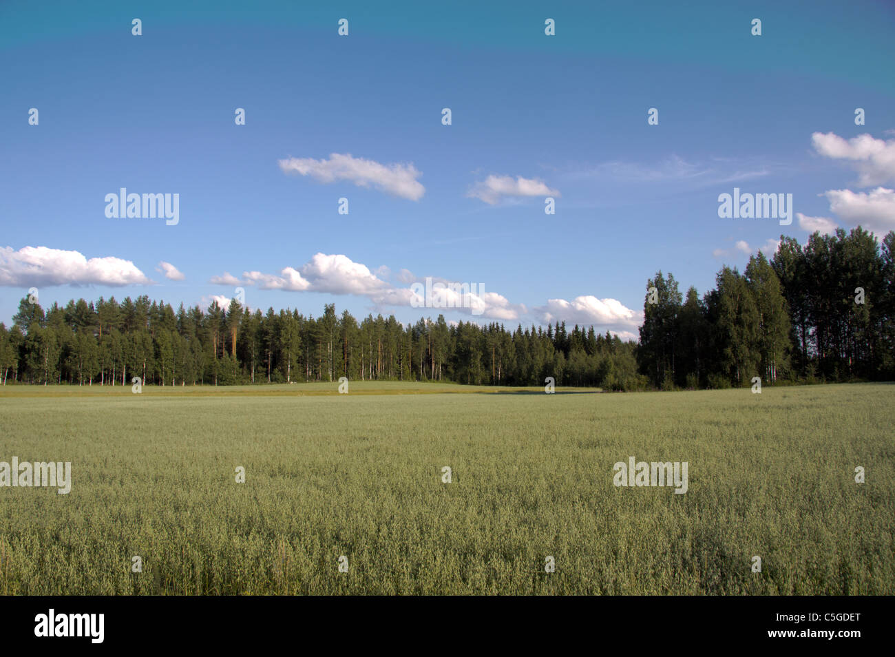 Scandinavian farm hi-res stock photography and images - Alamy