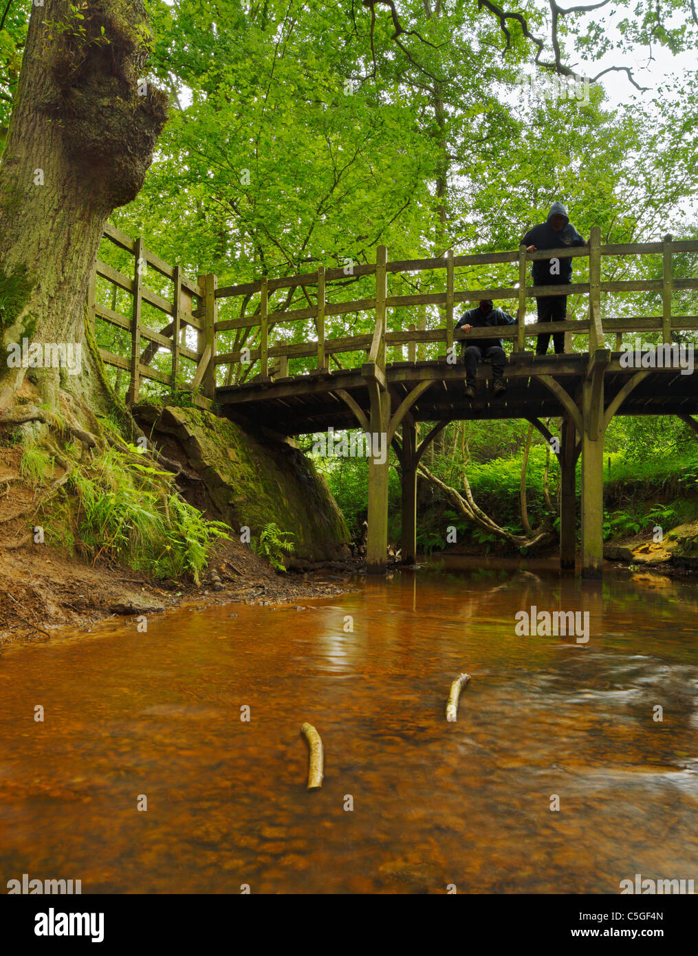 Ashdown forest hi-res stock photography and images - Alamy