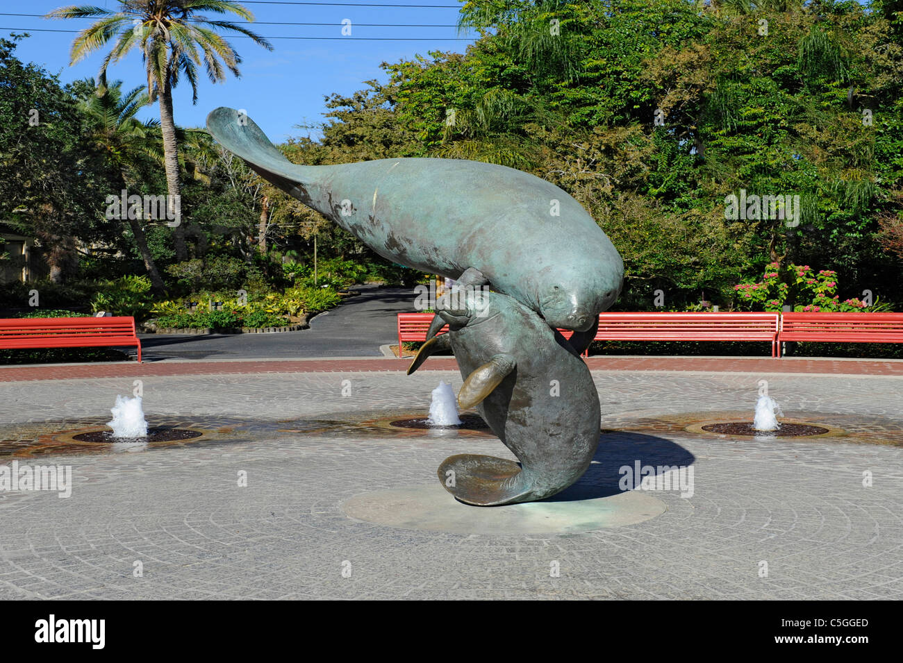 Lowry Park Zoo St Petersburg Florida Manatee Statue Icon Stock Photo ...