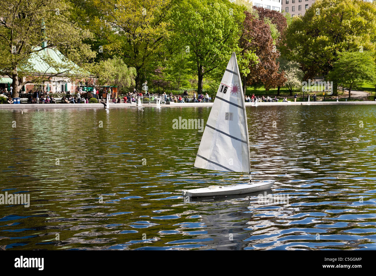 Conservatory Water in Central Park, New York City Stock Photo - Alamy
