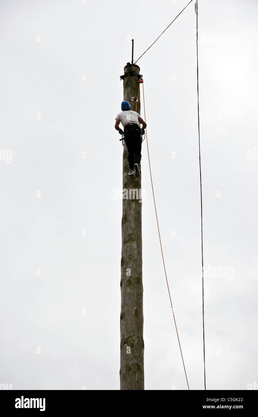 Pole climbing competition europe hi-res stock photography and images ...