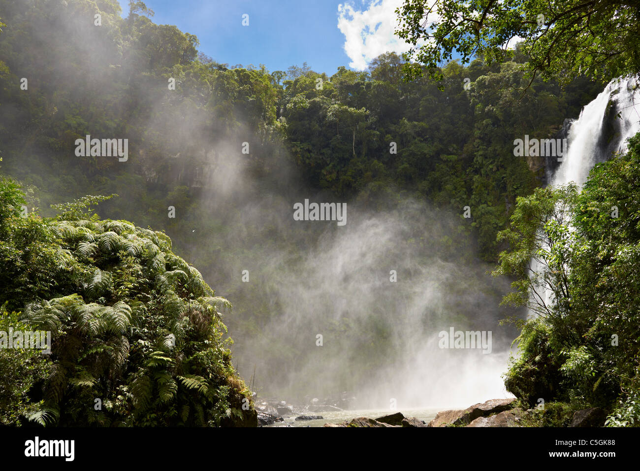 Bridal-veil-waterfall in the Atlantic Rainforest Stock Photo - Alamy