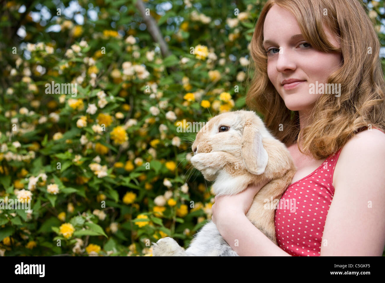 A young girl holding her pet rabbit Stock Photo - Alamy