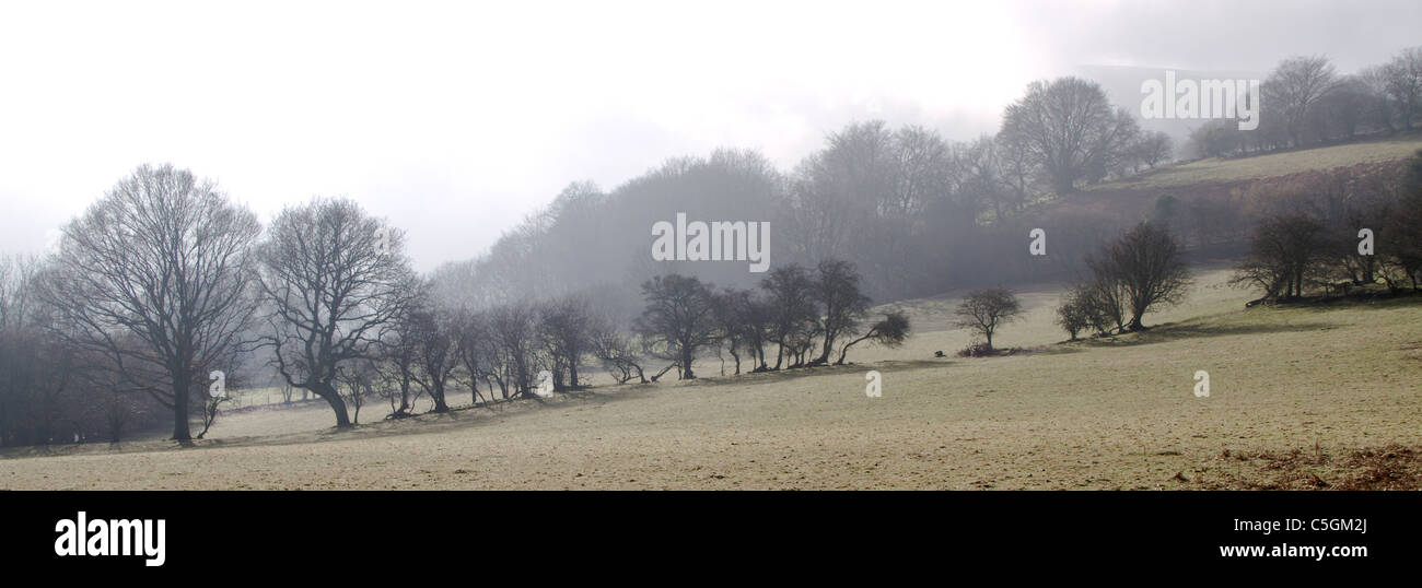 British winter countryside hi-res stock photography and images - Alamy