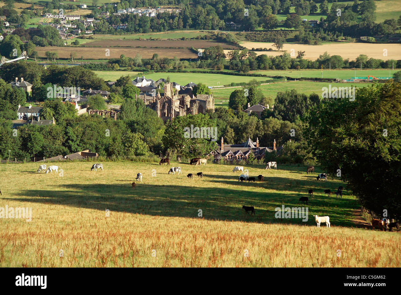 Melrose Abbey long view horizontal Stock Photo - Alamy