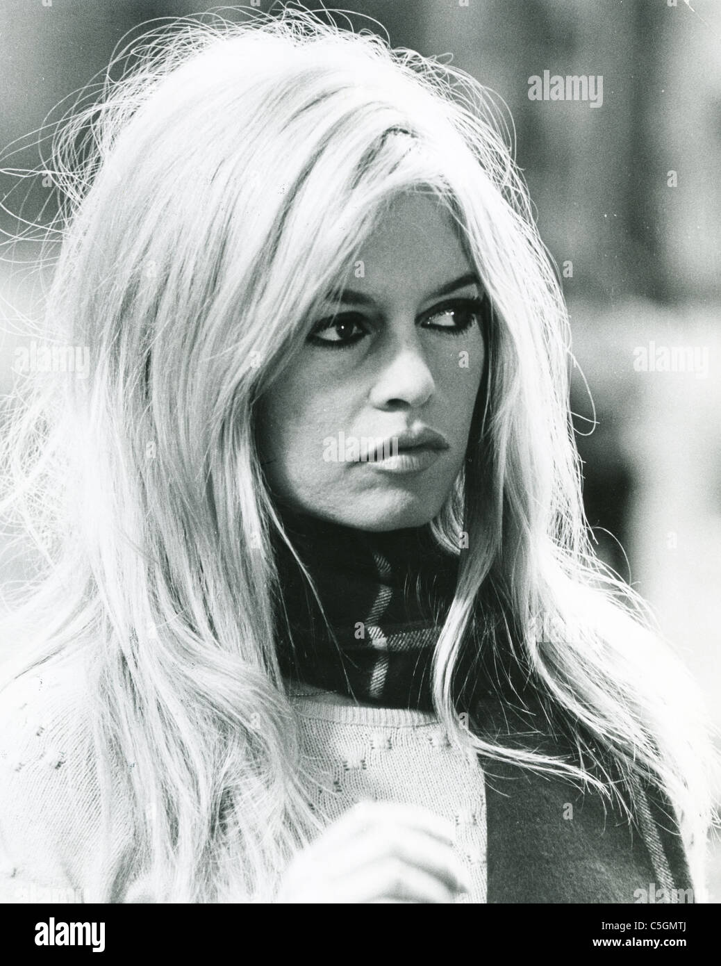 Brigitte French's Instagram, Twitter & Facebook on IDCrawl