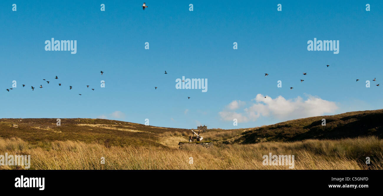 Driven Grouse Shooting Stock Photos & Driven Grouse Shooting Stock ...
