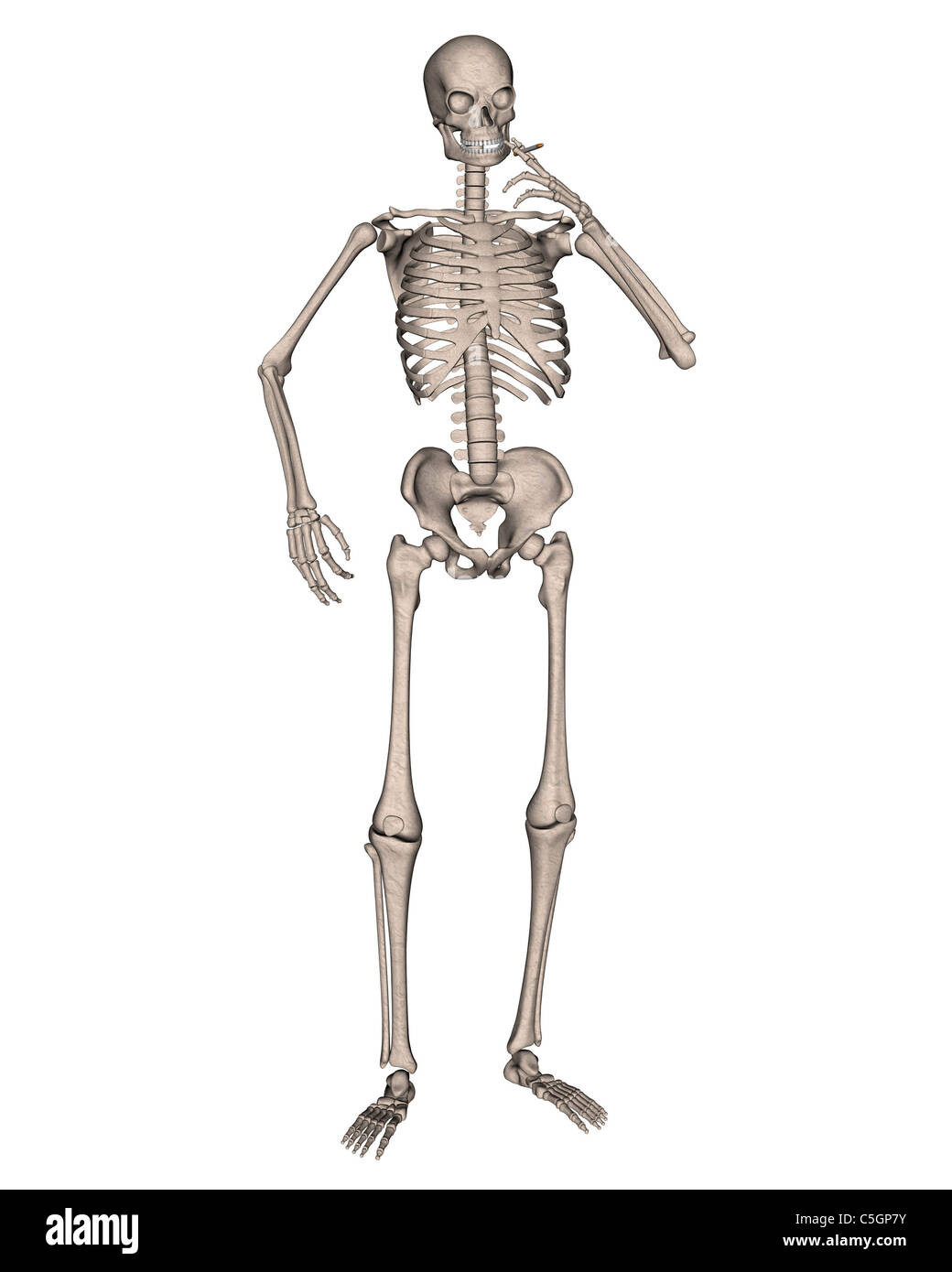 Skeleton Smoking a Cigarette Stock Photo - Alamy