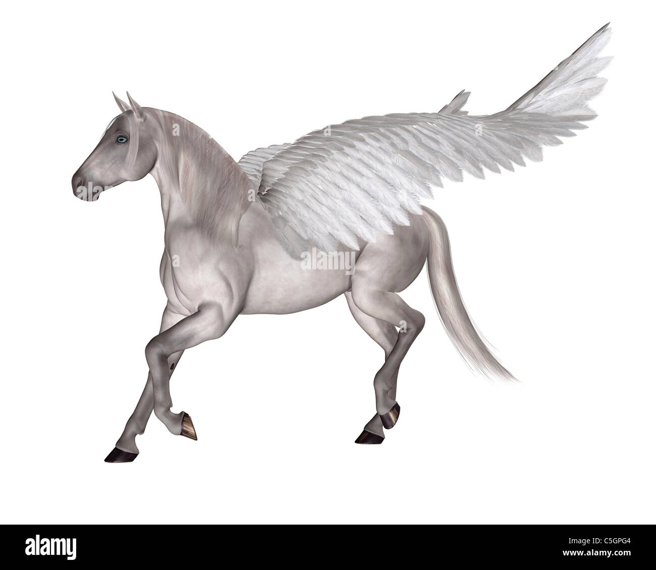 Pegasus the winged horse hi-res stock photography and images - Alamy