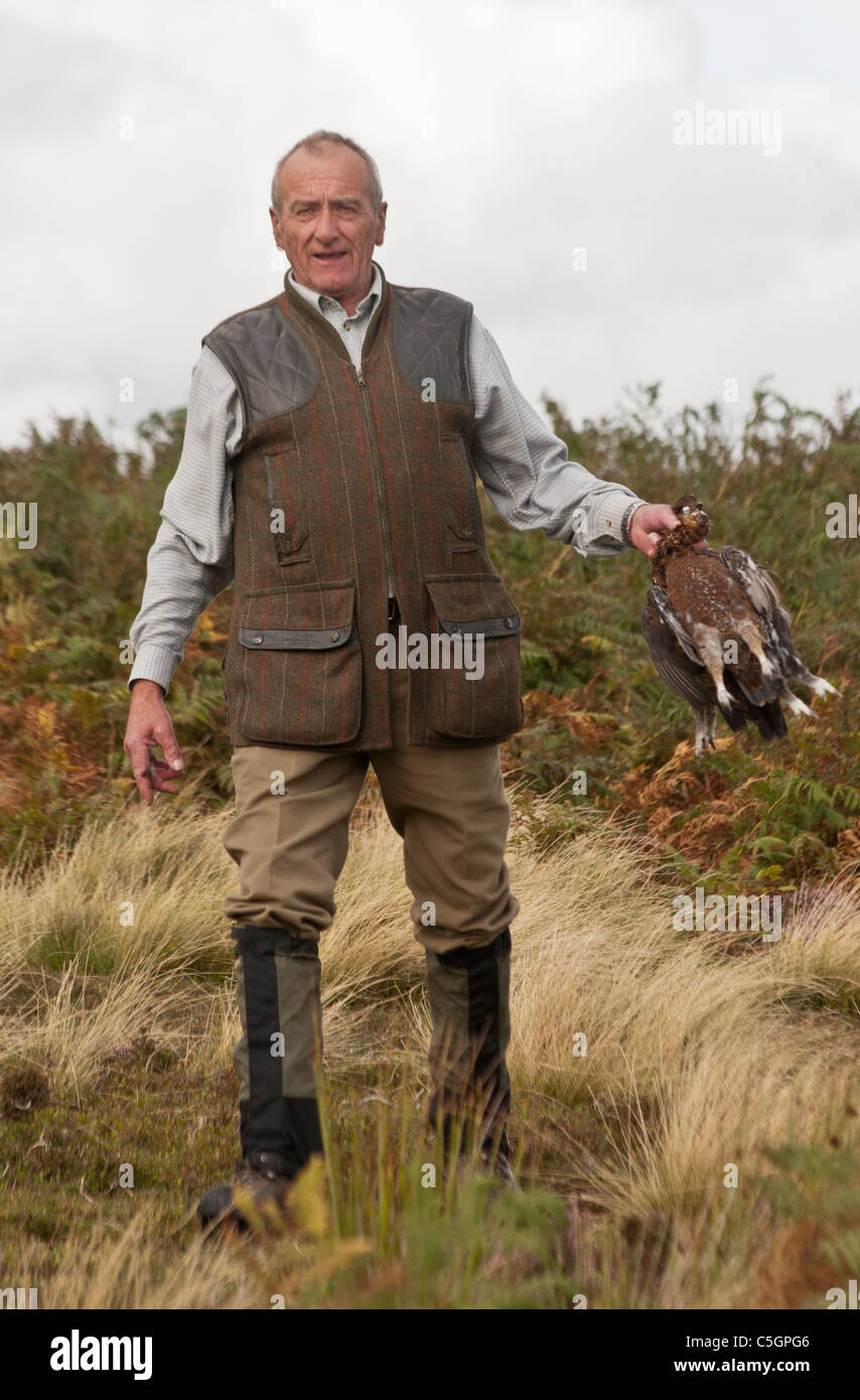 North Yorkshire, England UK - A Gun collecting red grouse he has shot ...