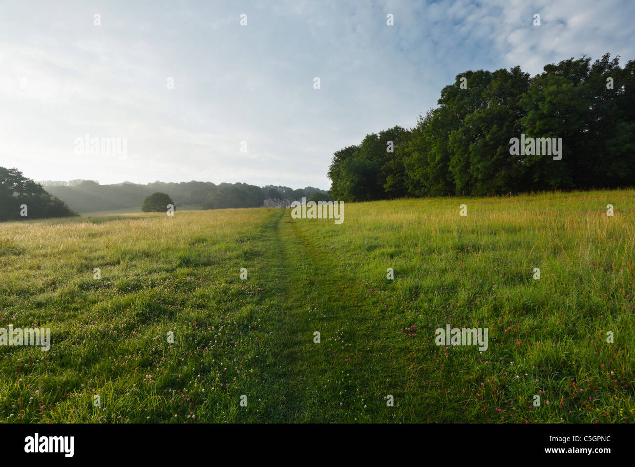 Path through meadow at Widcombe Hill, Bath. Somerset. England. UK Stock ...