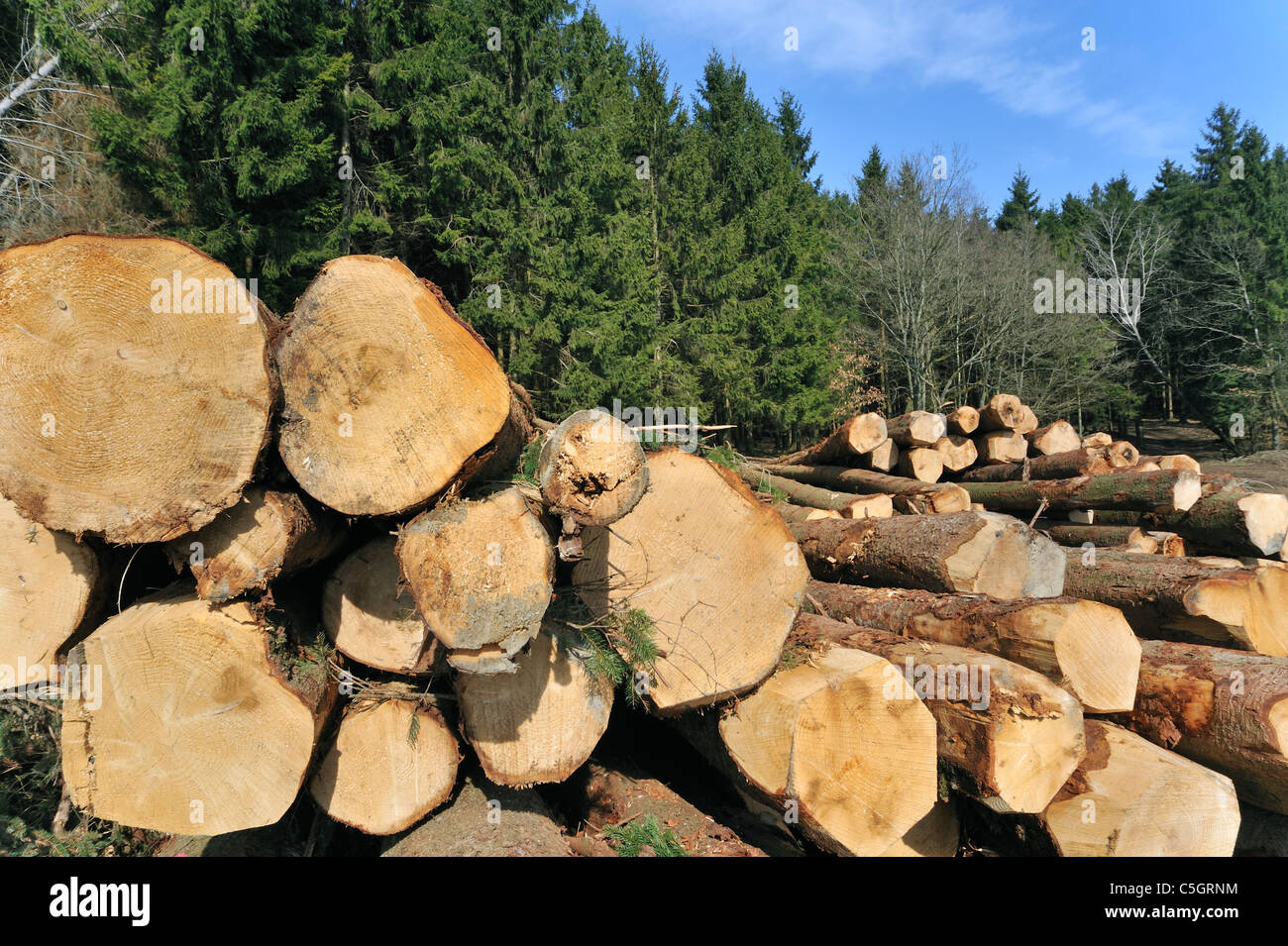 Timber extraction hi-res stock photography and images - Alamy