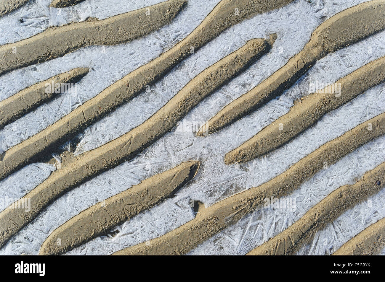 Pattern of sand ripples and ice on the beach during frost in winter ...