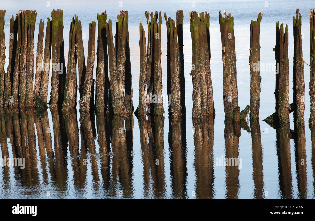 pilings reflections Boston Harbor Stock Photo - Alamy