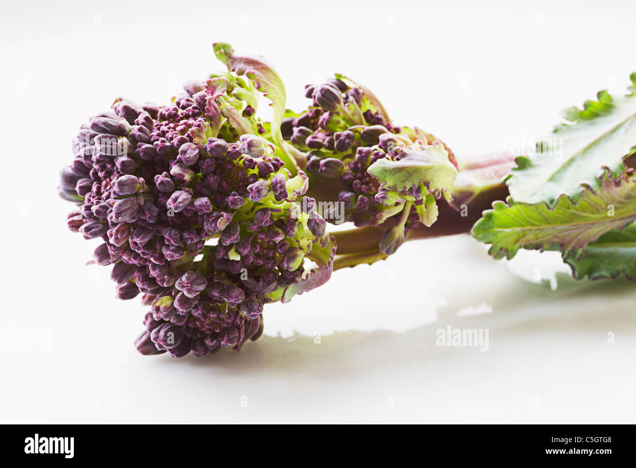 Purple sprouting broccoli close up Stock Photo - Alamy