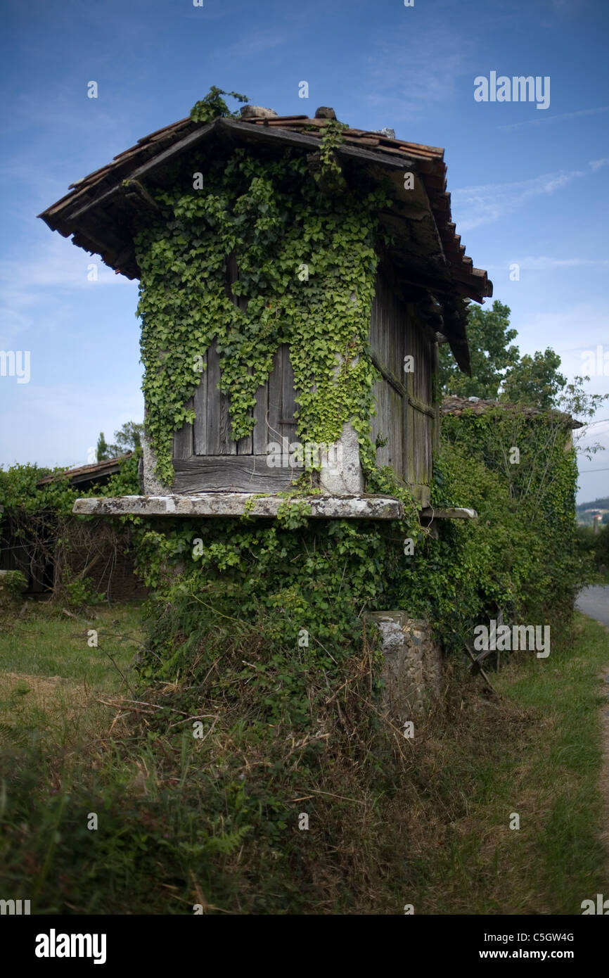 A Roman barn covered by plants is located in the French Way of St ...