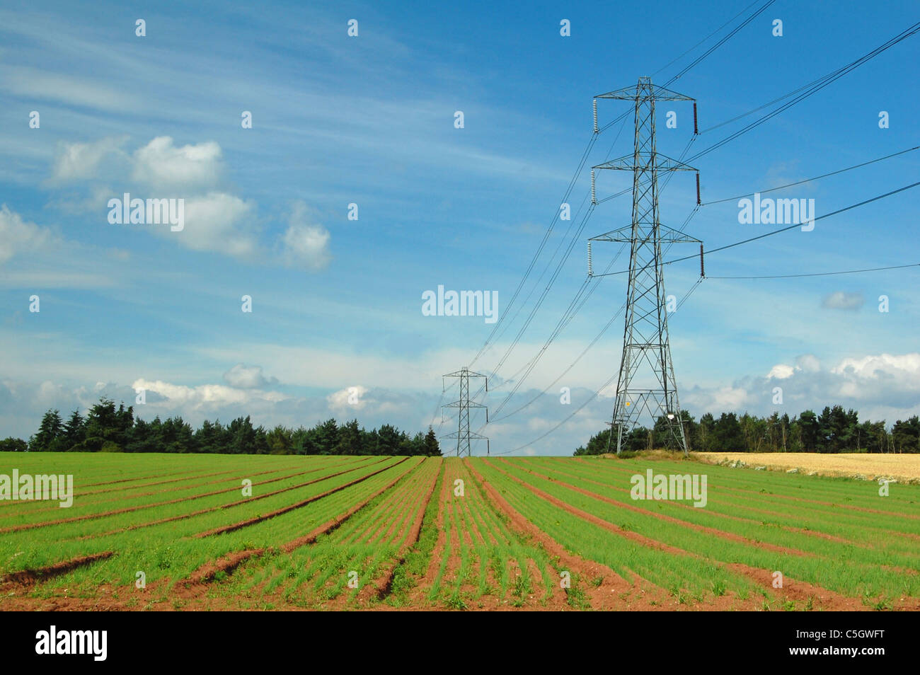 electricity pylons along agricultural field in Shropshire, UK Stock ...