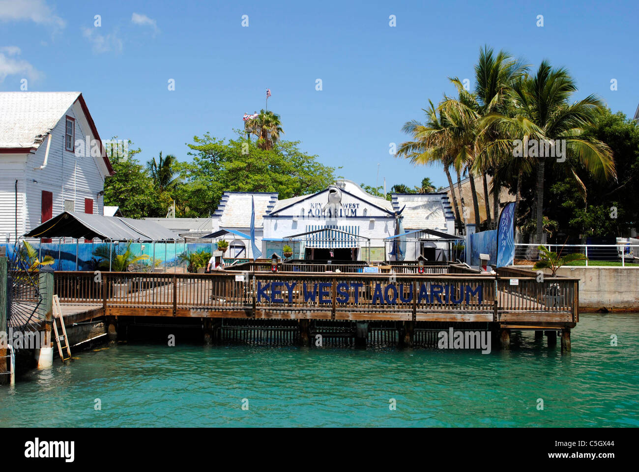 Key west aquarium hi-res stock photography and images - Alamy