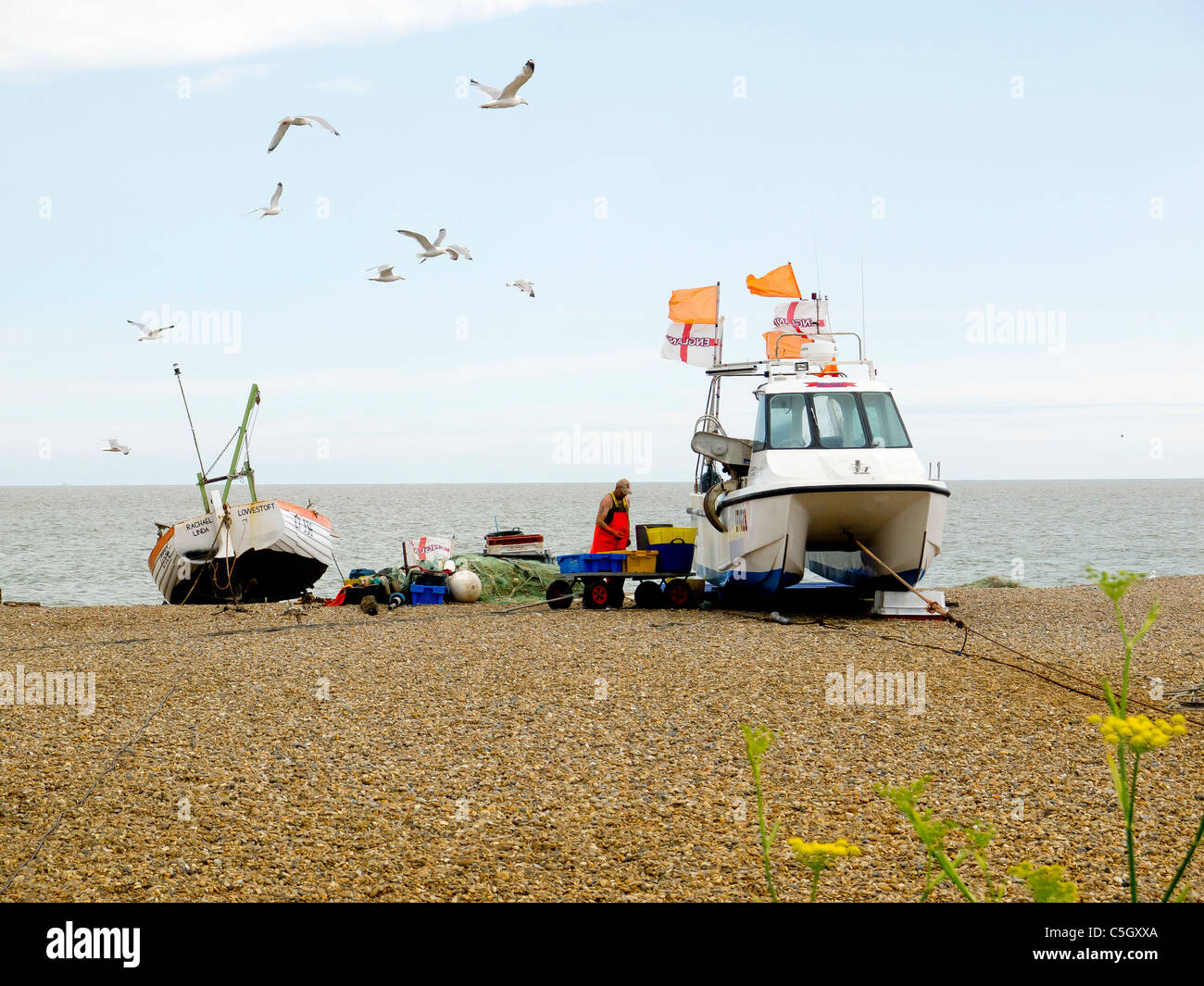 Commercial fish catch hi-res stock photography and images - Alamy