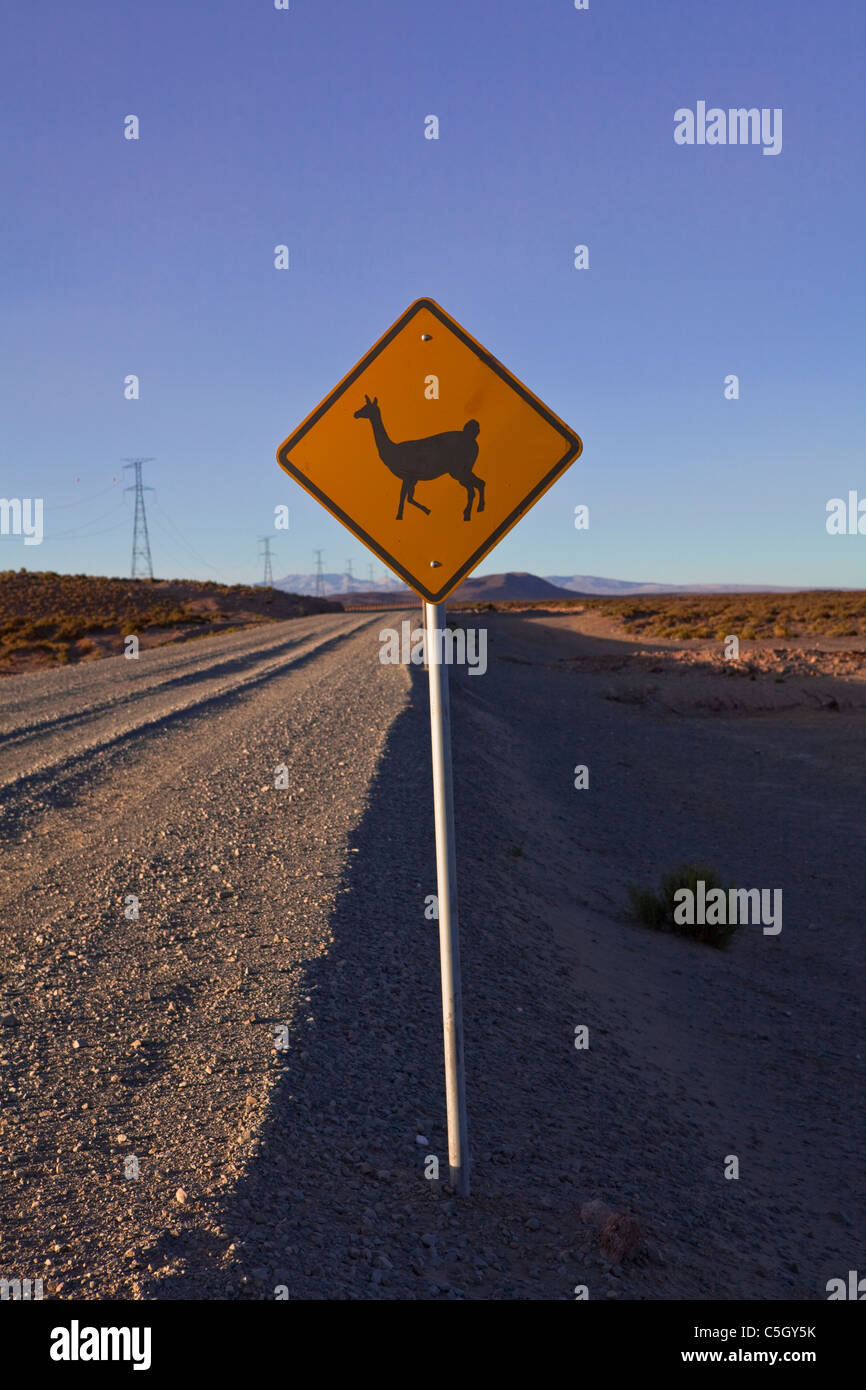 Llama crossing sign hi-res stock photography and images - Alamy
