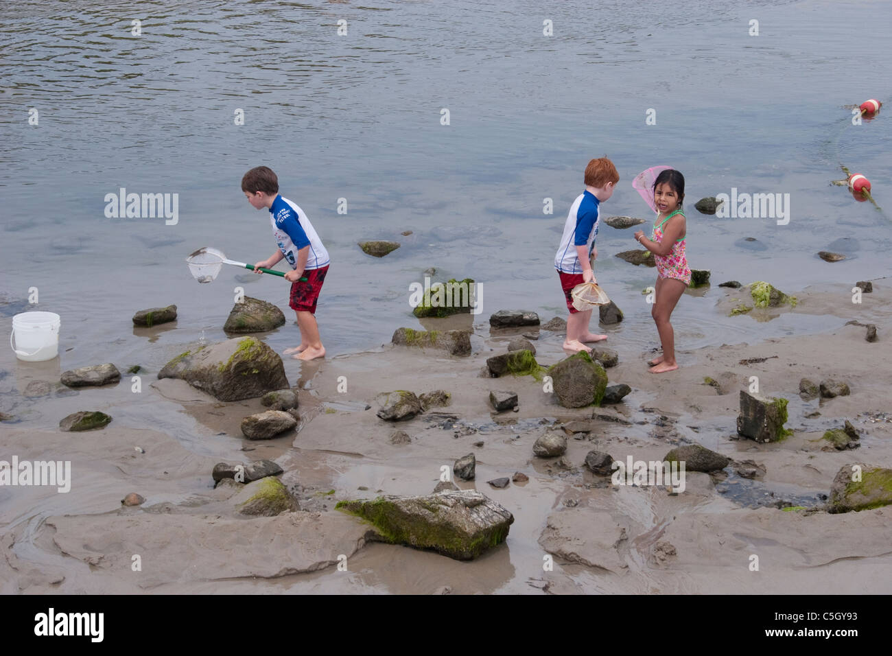 Summer crabbing hi-res stock photography and images - Alamy