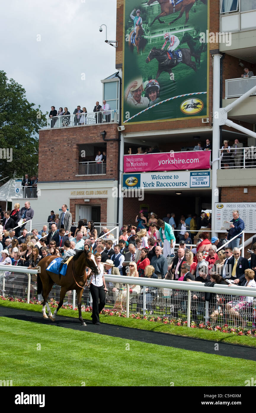 Racing york hi-res stock photography and images - Alamy