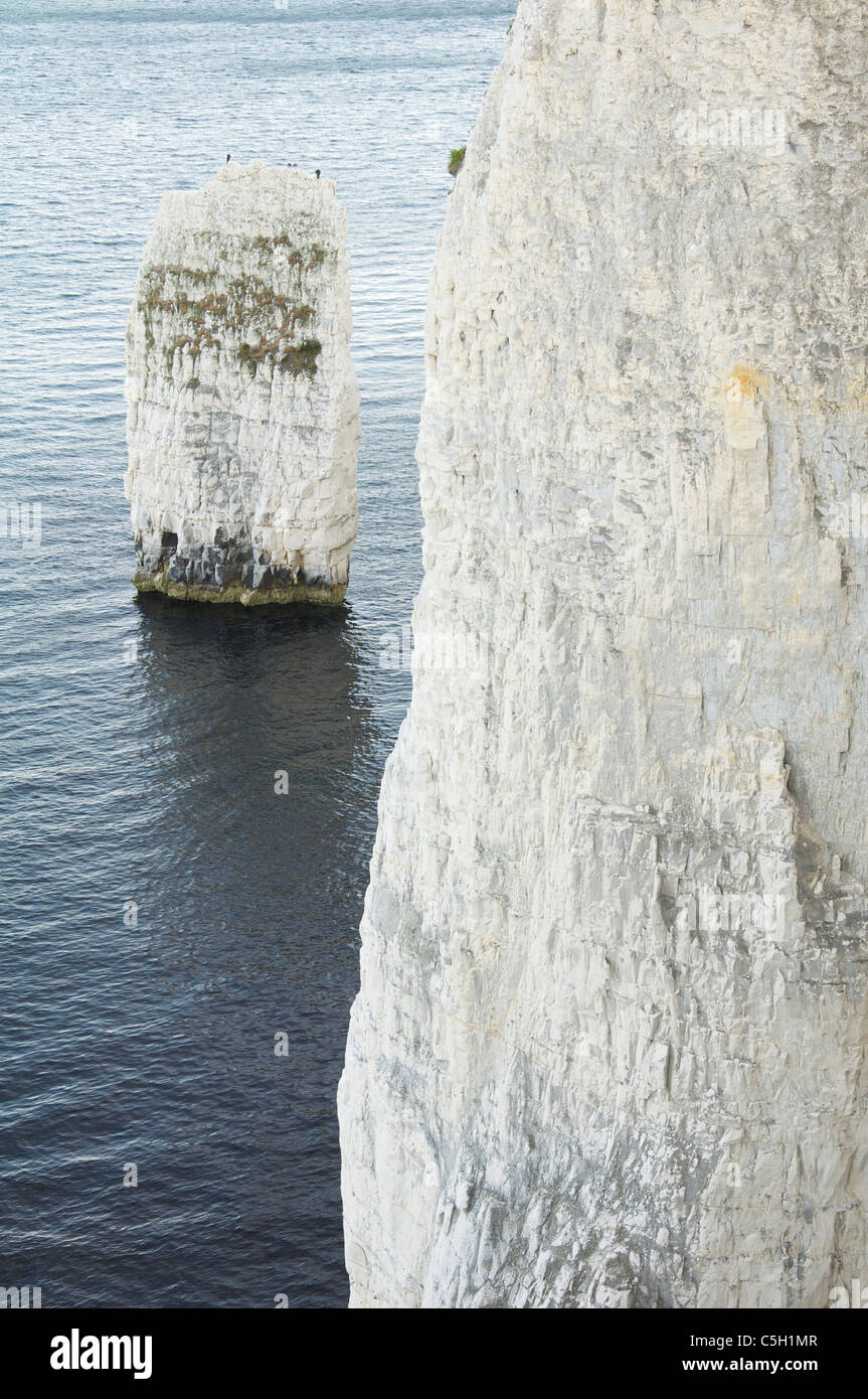 A chalk stack, one of a line of stacks called The Pinnacles. They stand ...