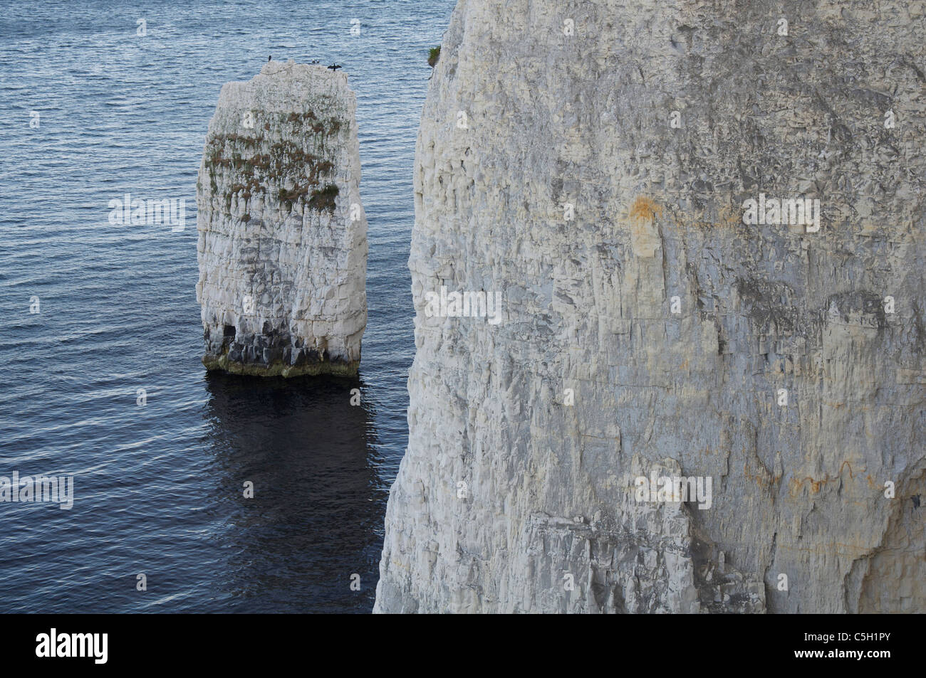 A chalk stack, one of a line of stacks called The Pinnacles. They stand ...
